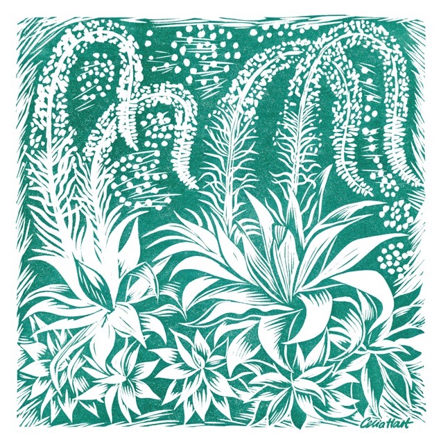 Linocuts and Woodcuts